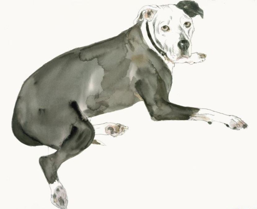 David Remfry: People and Dogs Drawn Together - Rugby Art Gallery ...