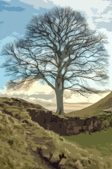 Floor One Gallery - Rugby Art Gallery & Museum - Rugby Borough Council